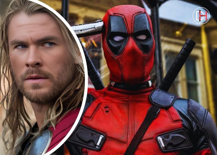 Chris Hemsworth Finally Reacts To His Surprise Thor Appearance In ...